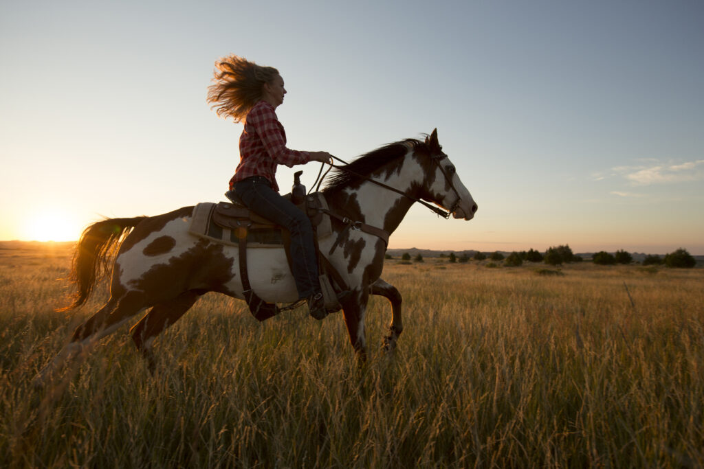 Medora Trail Rides - Medora - Official Ticket Site of the Medora Musical
